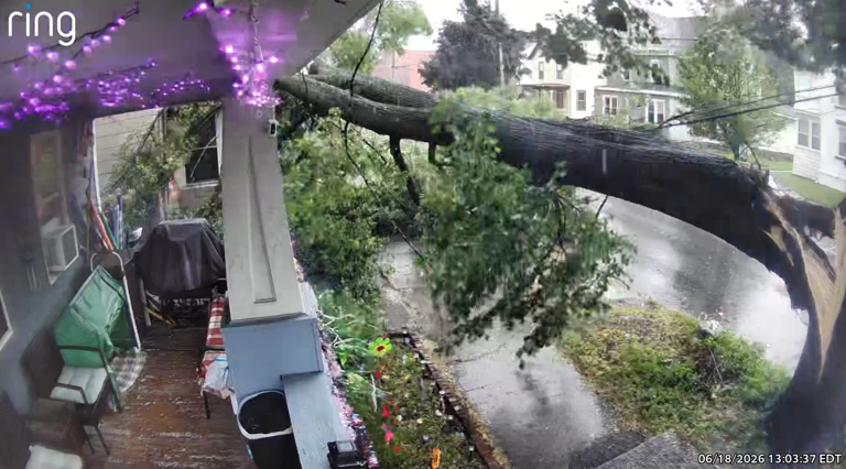 Watch: Tree falls on powerlines in Plattsburgh