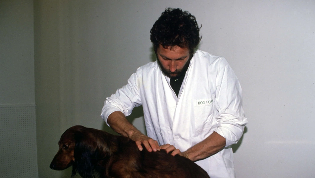 Recognizing common signs of pain in dogs
