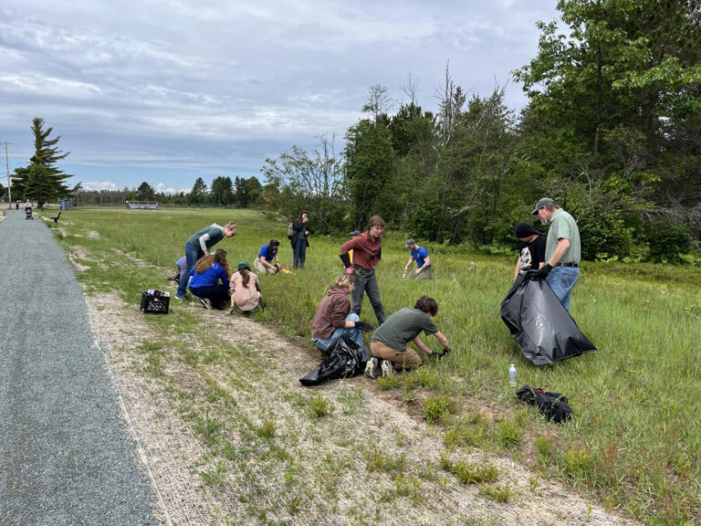 Pull That Plant event brings different organizations out to rid ground ...
