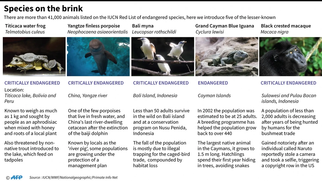 9 rare and endangered animal subspecies