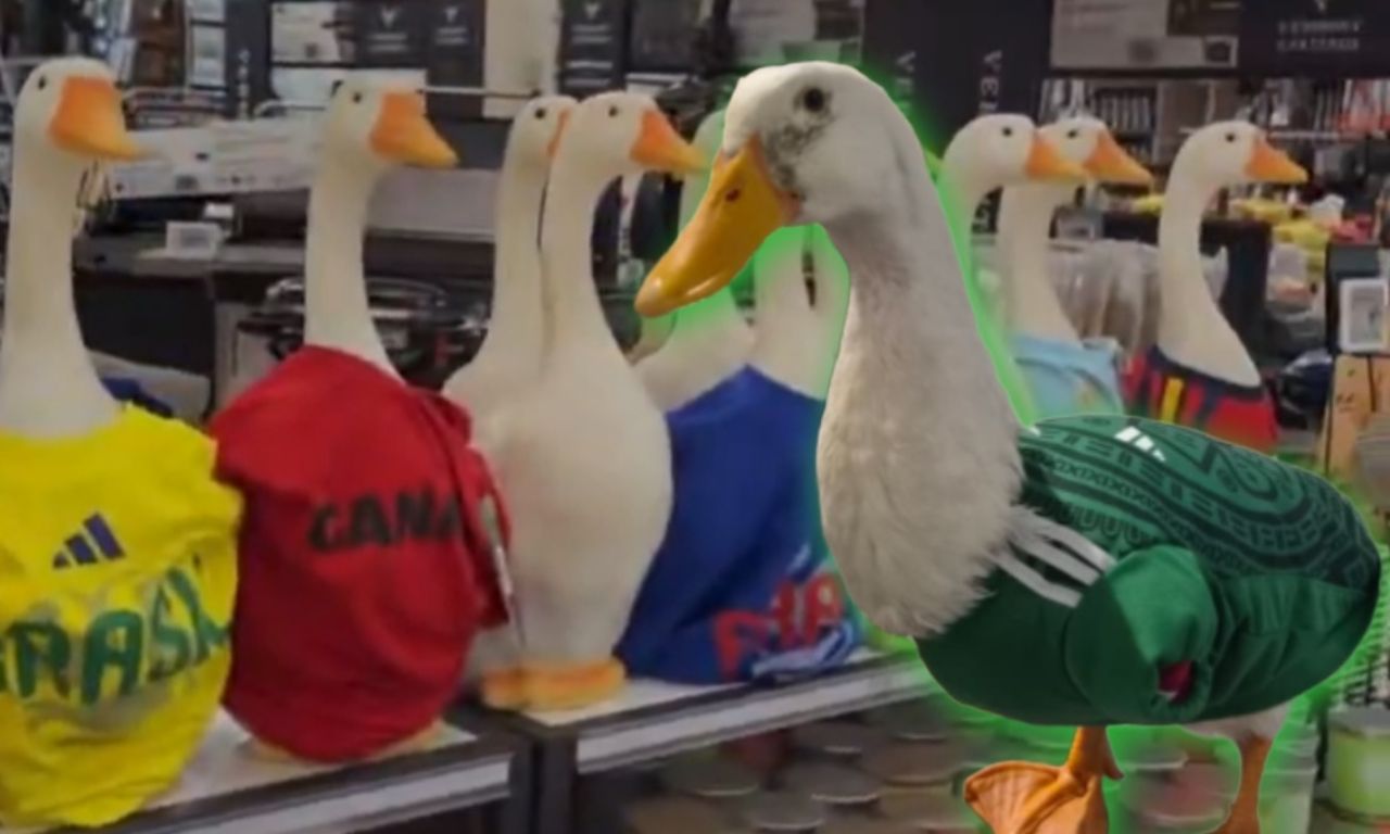 ¡Ya tiene su propia figura! El Pato Merlín llegó hasta Canadá con su ...