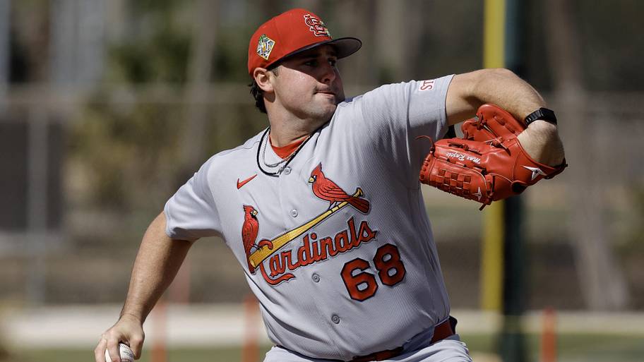 Cardinals promote Max Rajcic after pulling plug on Chris Roycroft