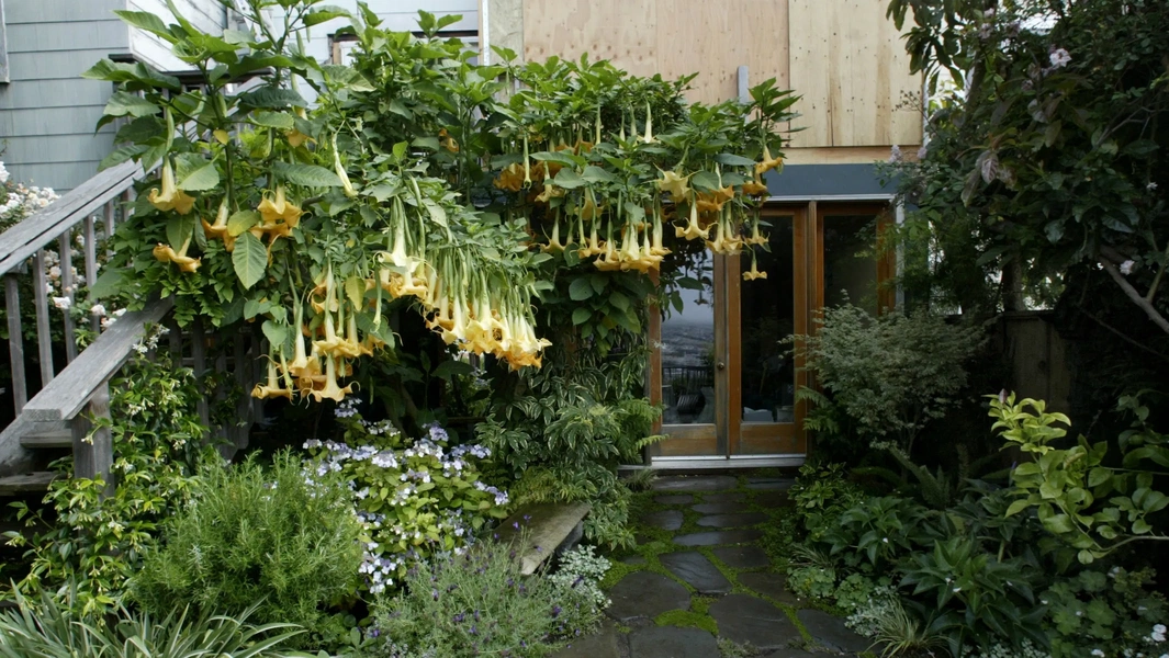 14 smart tricks to make small backyards feel spacious