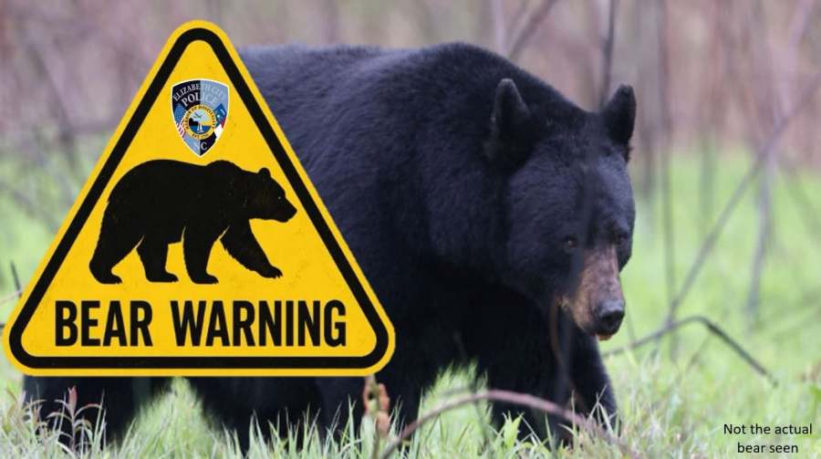Elizabeth City issues bear warning