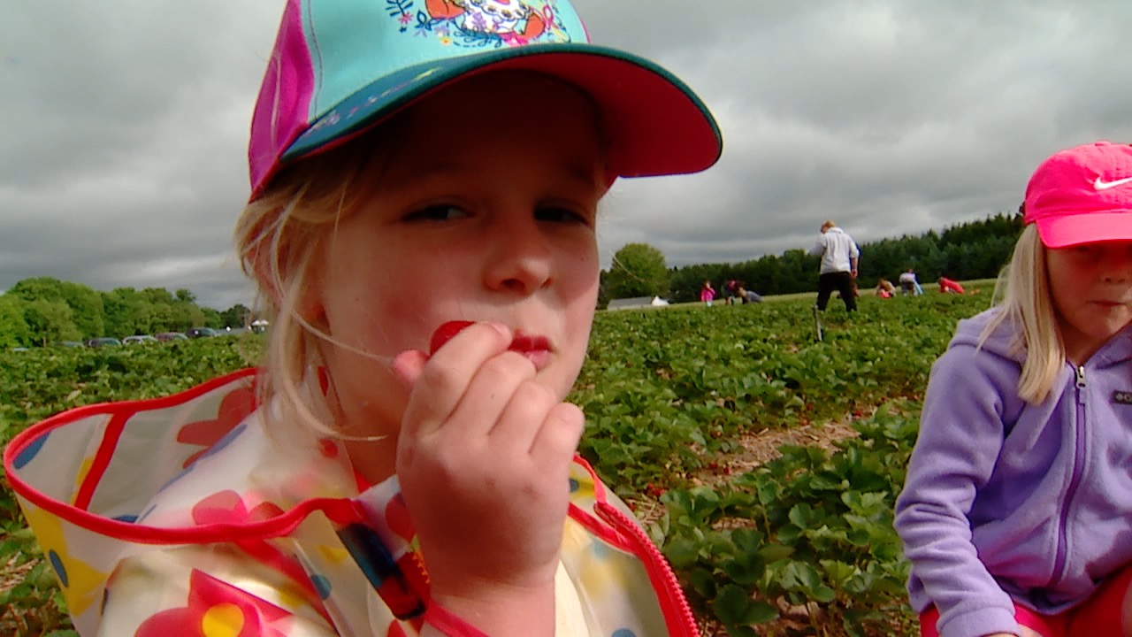 Strawberry season brings families together at West Michigan farm