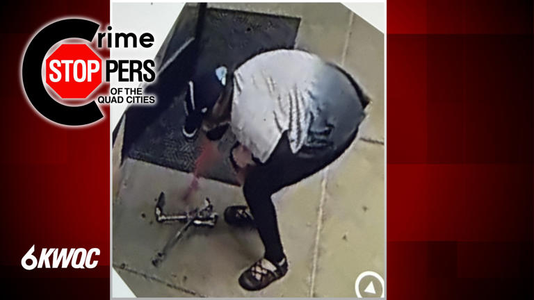 Crime Stoppers: Davenport police investigate late-night burglary at ...
