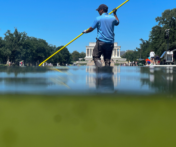 Wash. Post: Most algae in years after $14 million pool redo