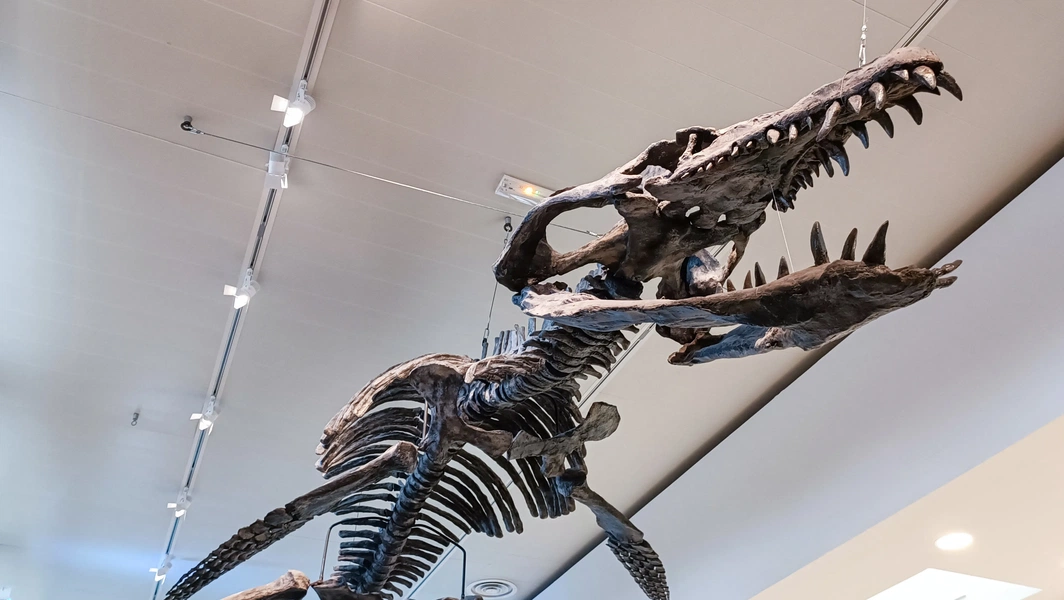 12 prehistoric predators and their deadly adaptations