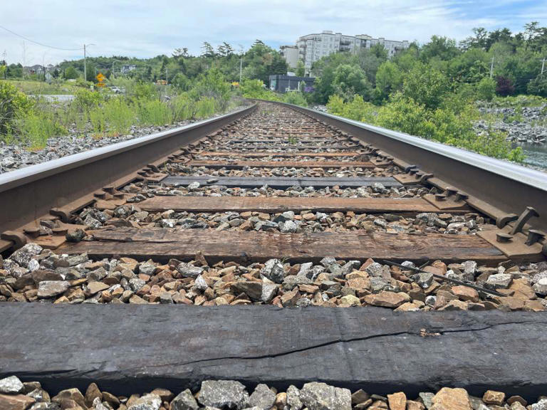 Woman hospitalized, escapes serious injuries after being hit by train ...