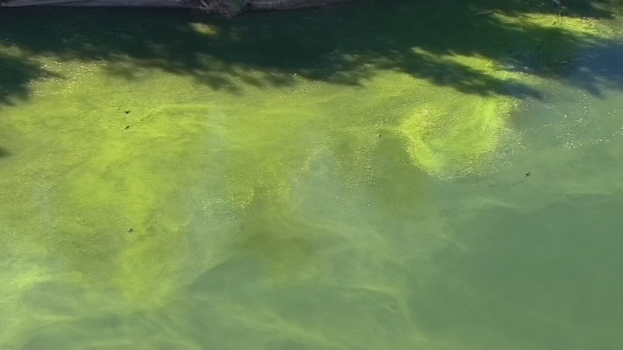 Pomona Lake’s Michigan Valley Park swim beach closed until further ...