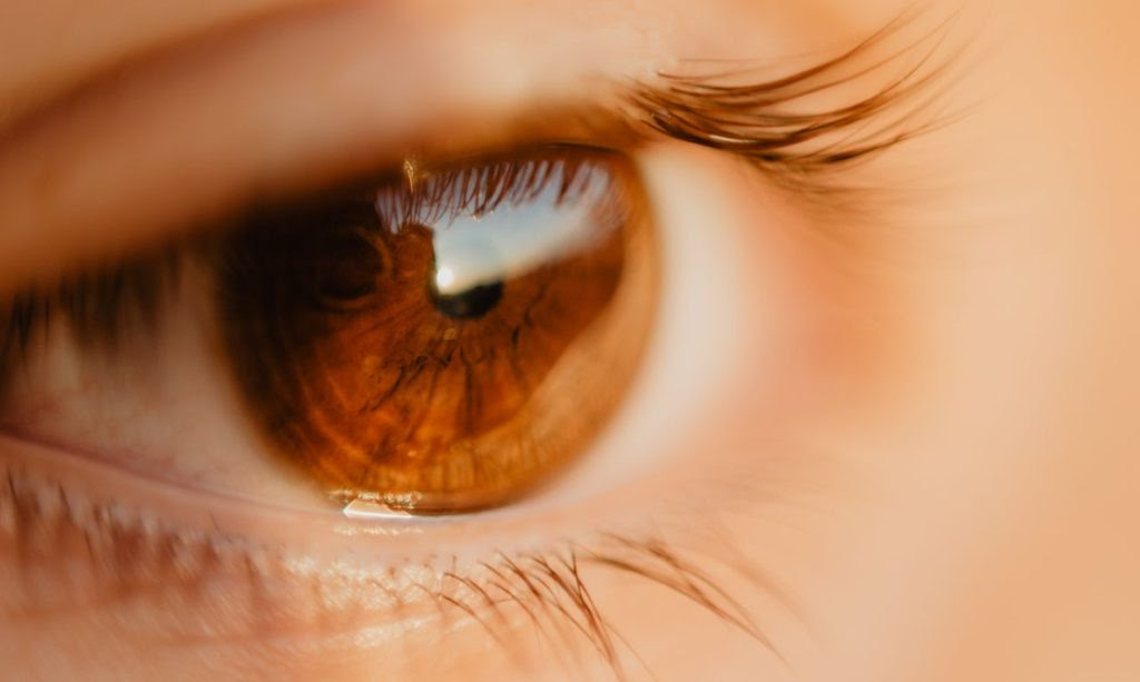 Las mejores vitaminas para la salud de tus ojos