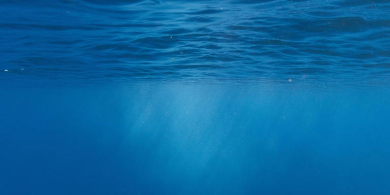 Something in the deep made a sound that echoed through the Pacific. It ...