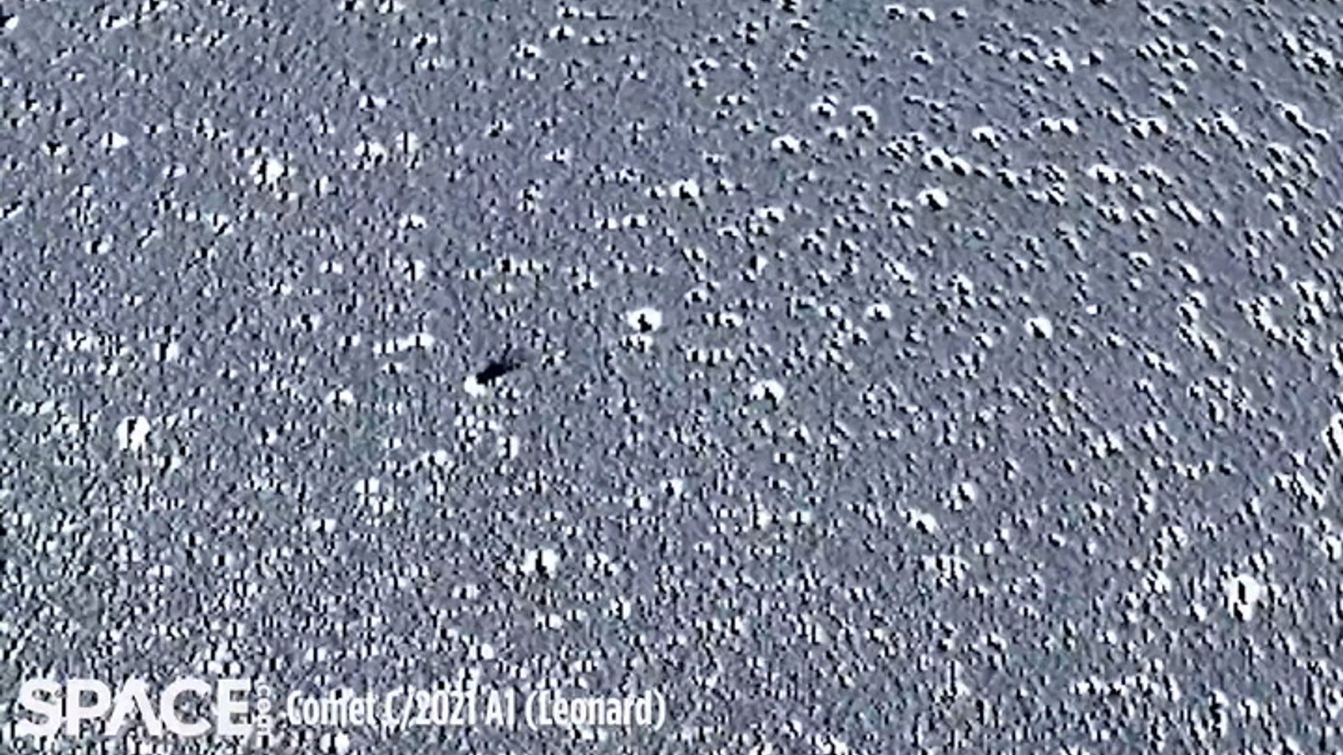 Comet Leonard's tail wiggling in NASA satellite footage