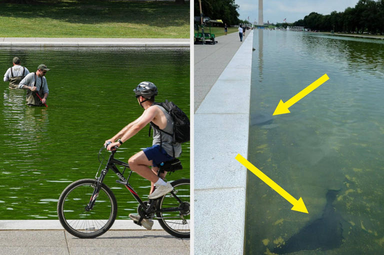 The hydrogen peroxide disaster just got even worse