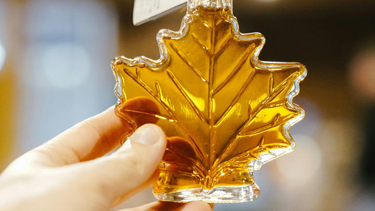 Why Maple Syrup Producers Keep Getting Busted For Counterfeit
