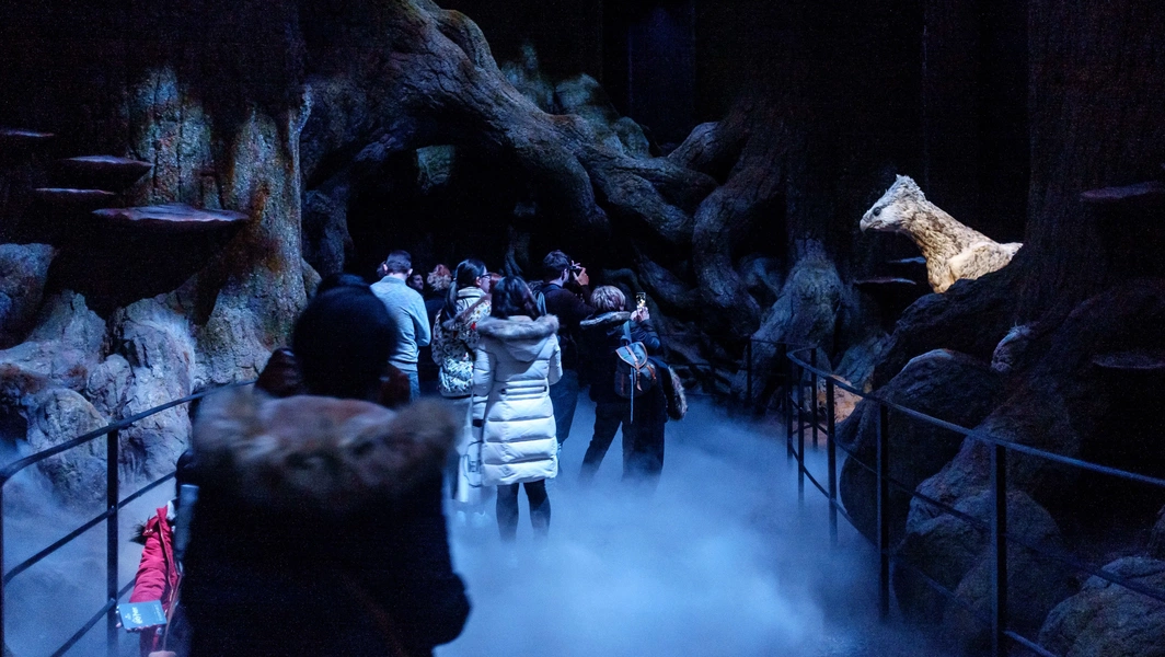 13 behind-the-scenes secrets of Harry Potter