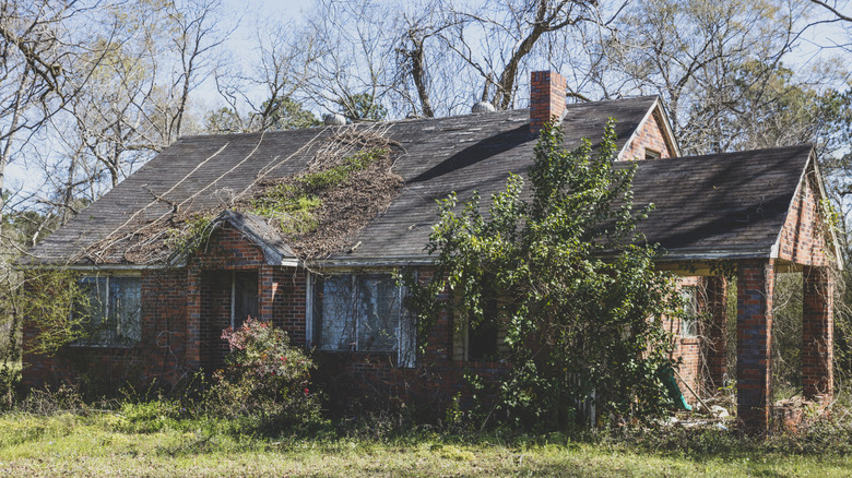Is it still a good investment to buy a fixer-upper home to renovate?