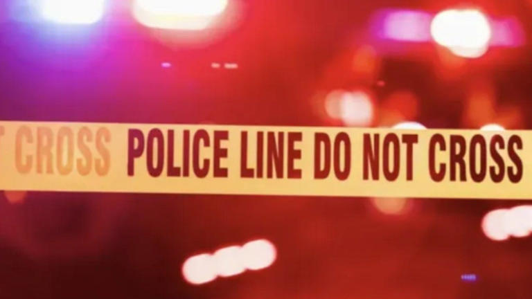 Brother suspected in homicide of 68-year-old man, Richmond police say