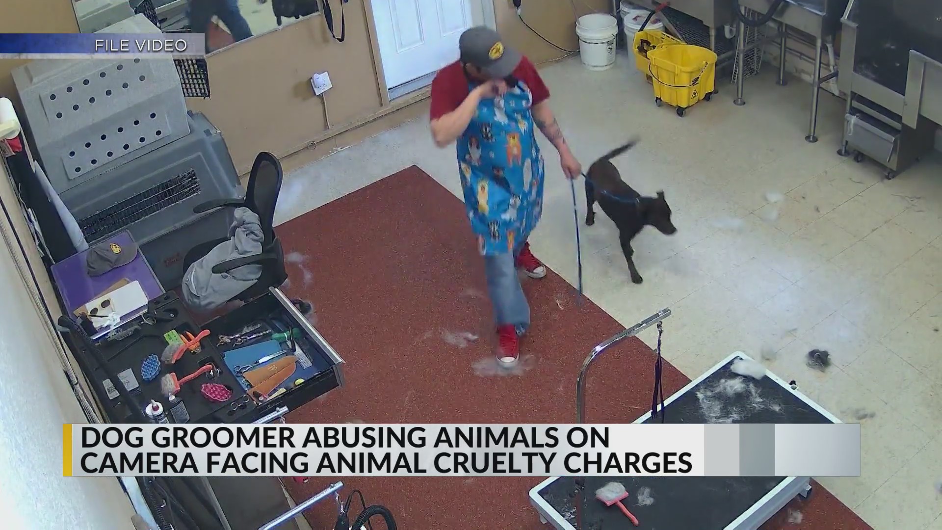 Santa Fe dog groomer seen abusing animals on camera pleads guilty in court