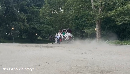 Teen dies after being thrown from horse-drawn carriage in Central Park ...