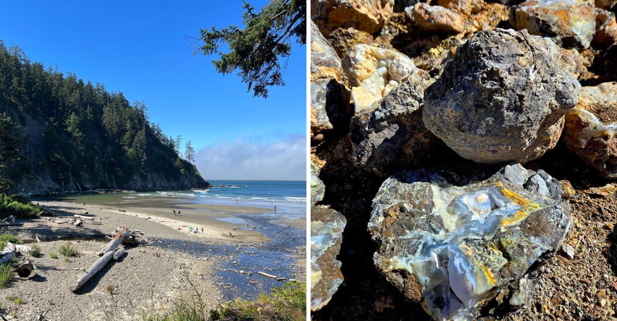 These 9 Oregon spots are the best for finding fossils, beach glass and more