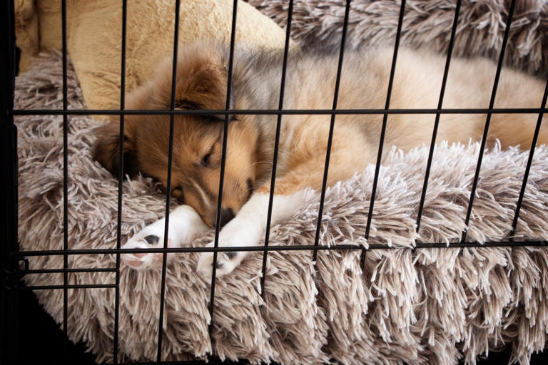 Can't sleep? These 20 hacks will have you catching zzz's in no time