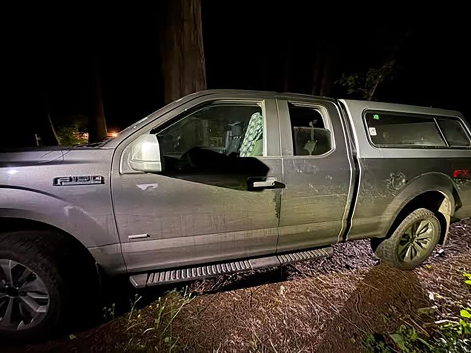 Clatskanie woman accused of dragging horse behind truck, leading to ...