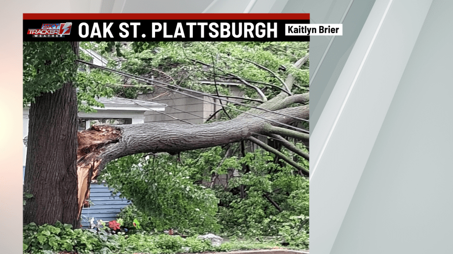 Tornado watch cancelled; storm clean up begins