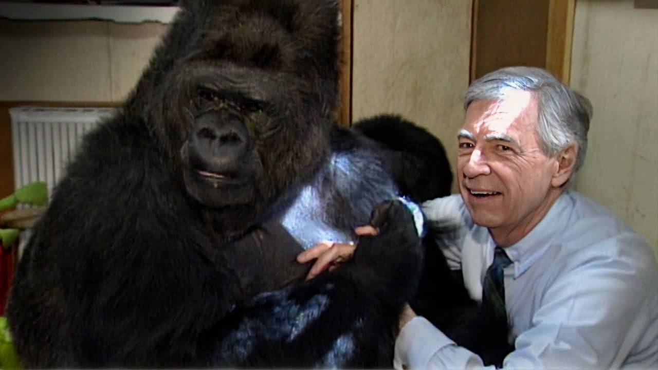 Honoring Mr. Rogers | Won’t you be my neighbor