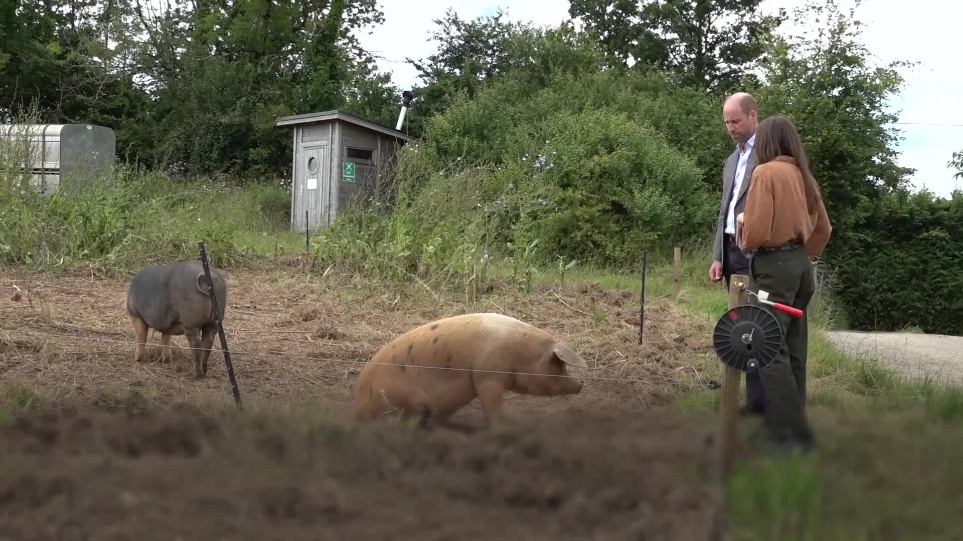 William encounters pig called Ginger Spice on farm visit in Devon