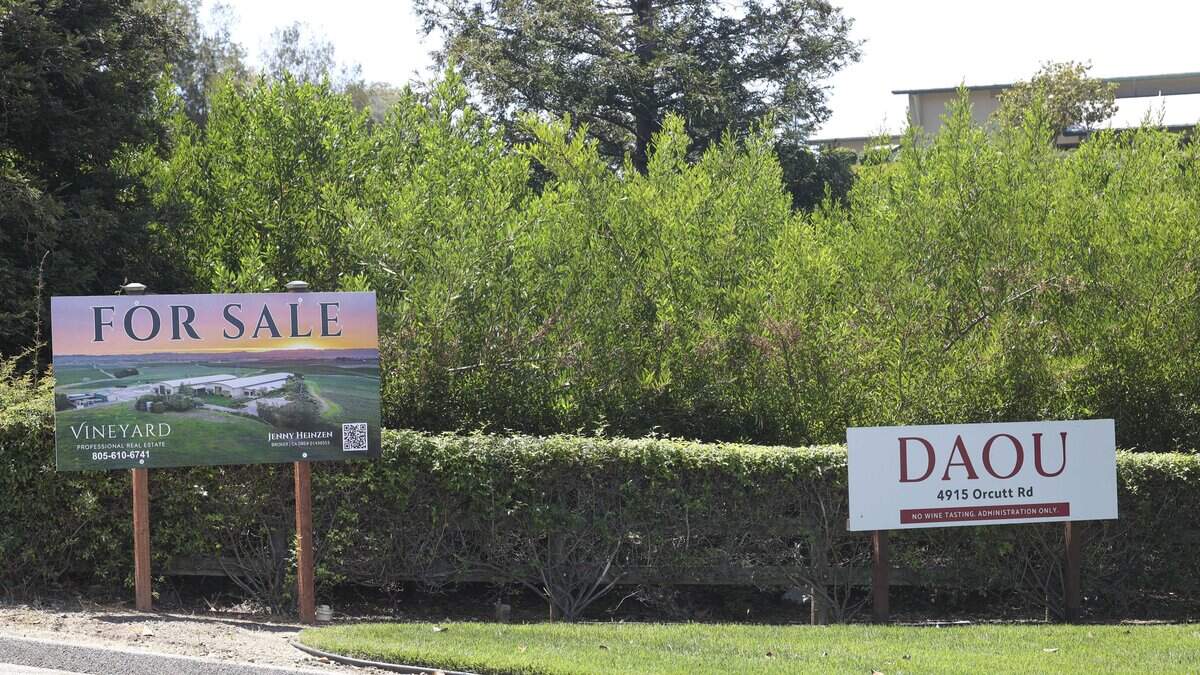 DAOU Vineyard owner downsizing and Juneteenth weekend events. Today's ...