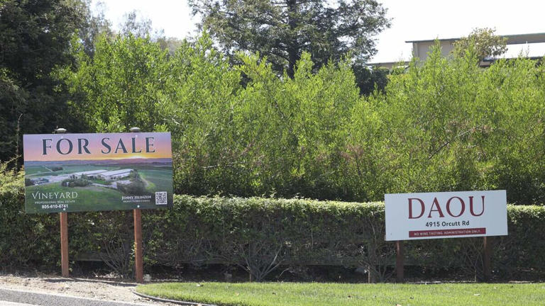 DAOU Vineyard owner downsizing and Juneteenth weekend events. Today's ...