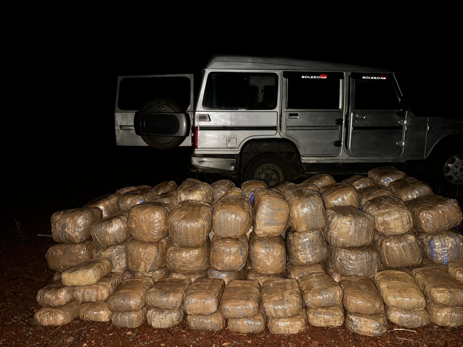Eagle Force seizes 500kg ganja in Odisha