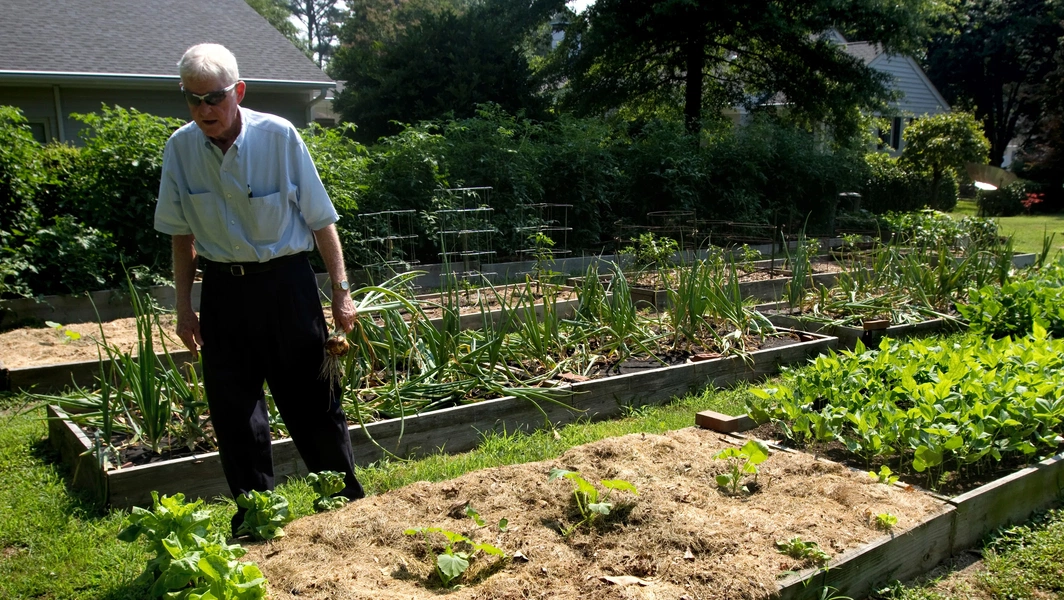 15 budget-friendly activities for retirees
