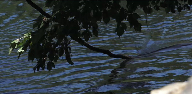 Anchor Lake Dam in danger of failing in Pearl River County, officials say