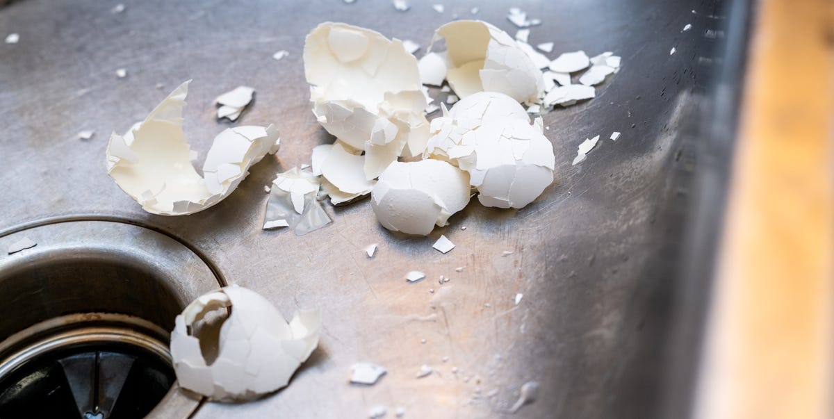14 things experts warn you should never put down a garbage disposal