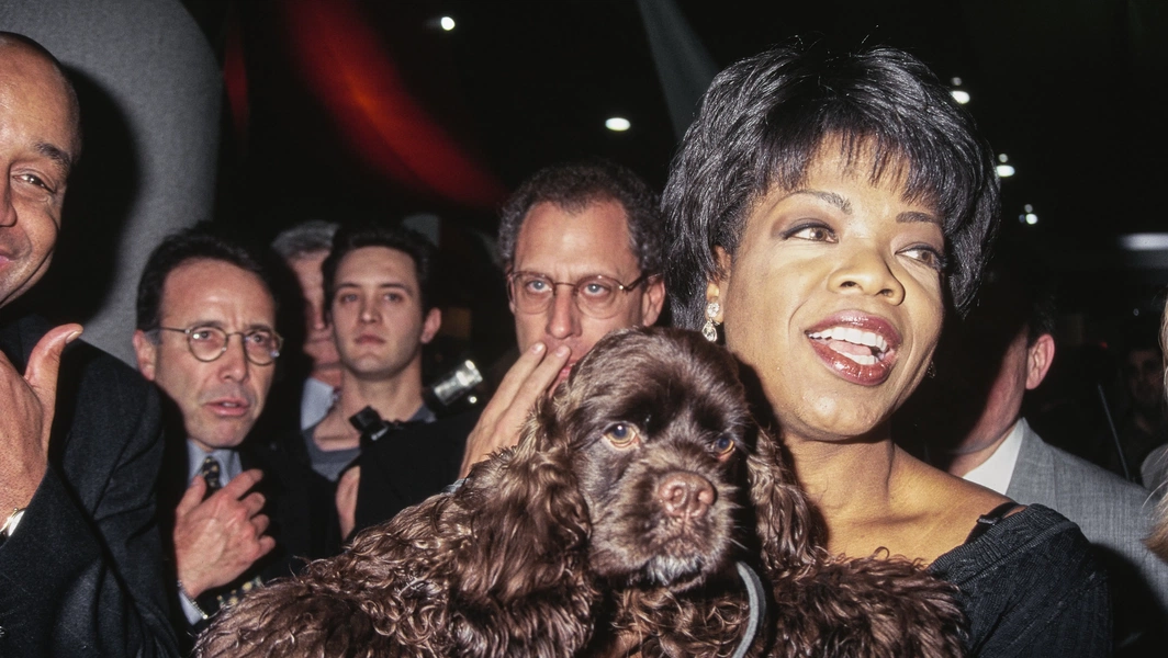 7 famous pets with extraordinary lives