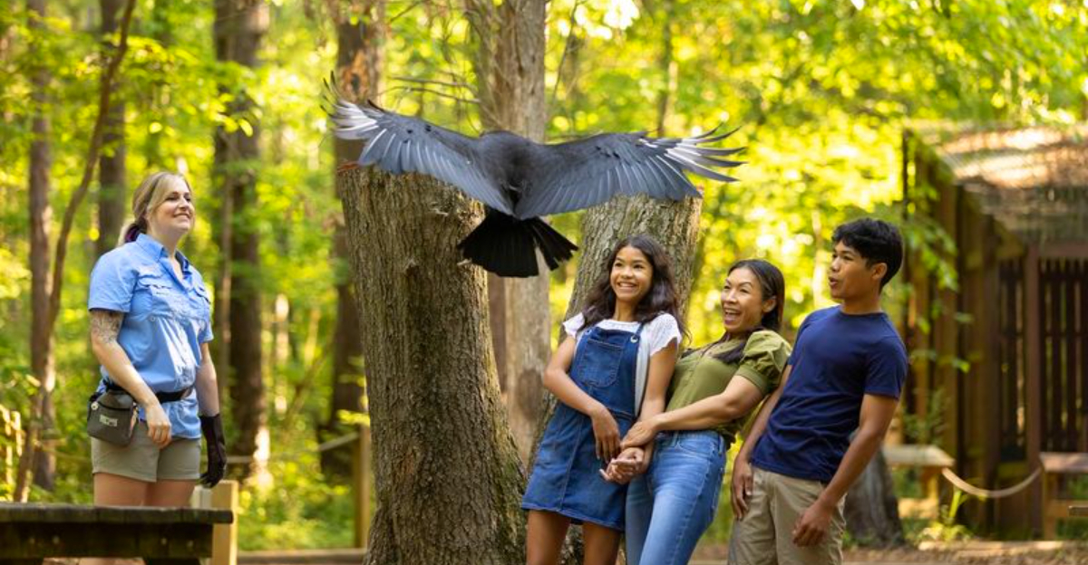 14 wildlife centers helping injured birds return to the wild