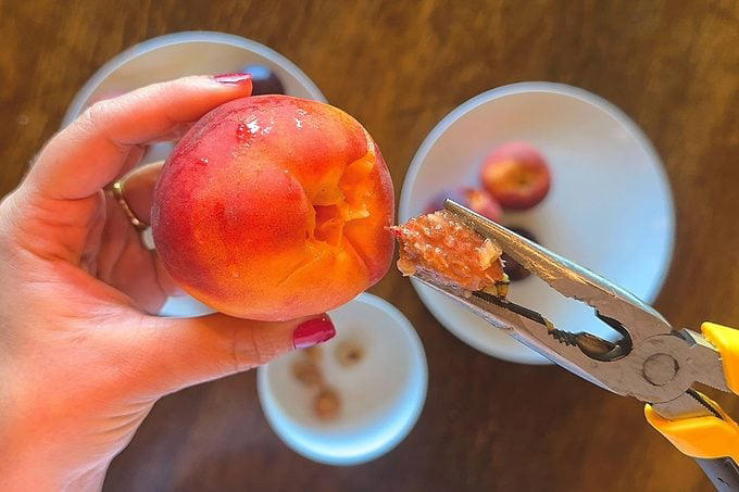 This isn’t a kitchen tool, but it’s weirdly perfect for pitting peaches