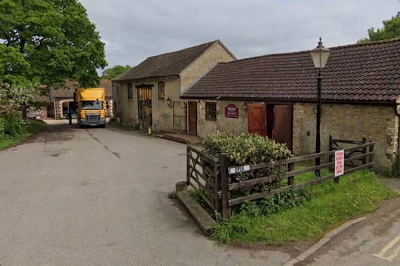 Boy, 3, mauled by crocodile after being 'thrown into enclosure' at zoo