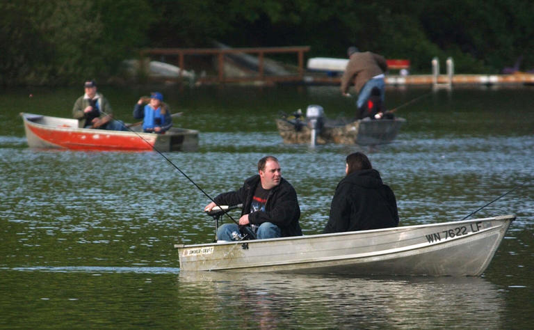Thurston Co. warns of possible parasites causing swimmer's itch at area ...