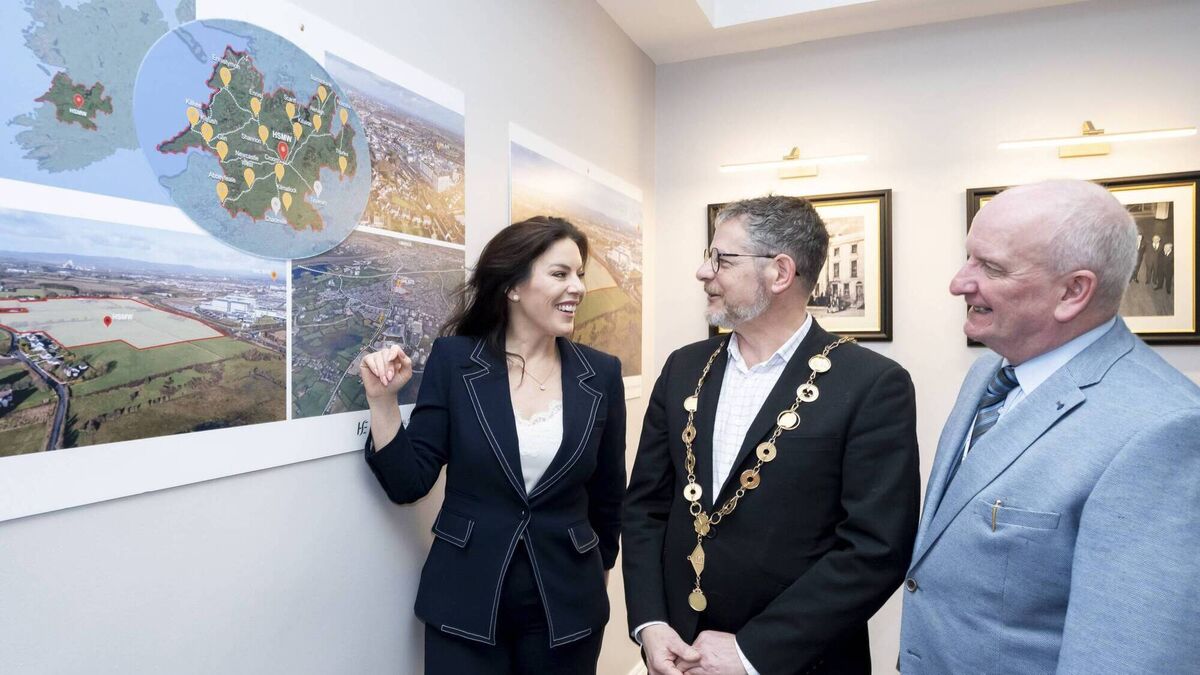 Chair chosen for board to oversee building of new hospital in Limerick