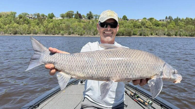 Record catch for a rare Mississippi River fish