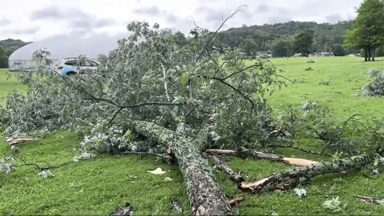 Severe thunderstorms bring damaging winds, power outages to West Virginia