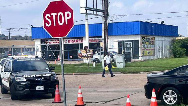 Man working under hood of car killed after thief drives off with ...