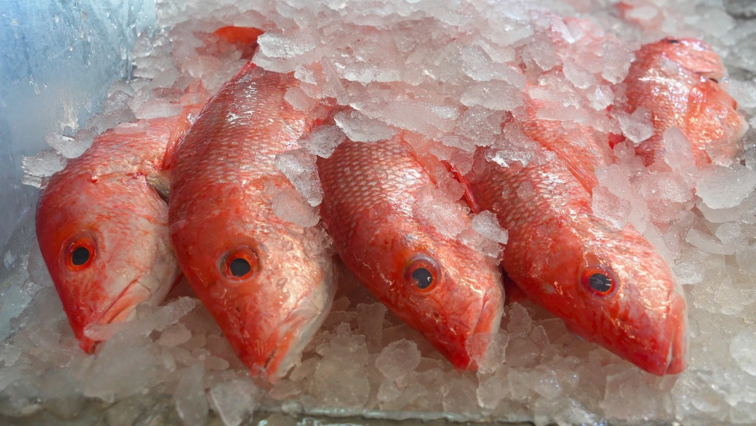 8 commonly mislabeled seafood items