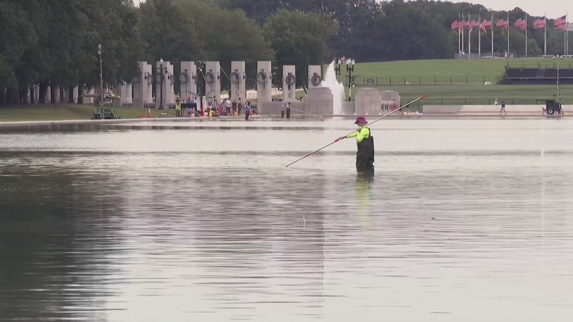 Weeks after renovation, algae bloom turns Lincoln Memorial pool green