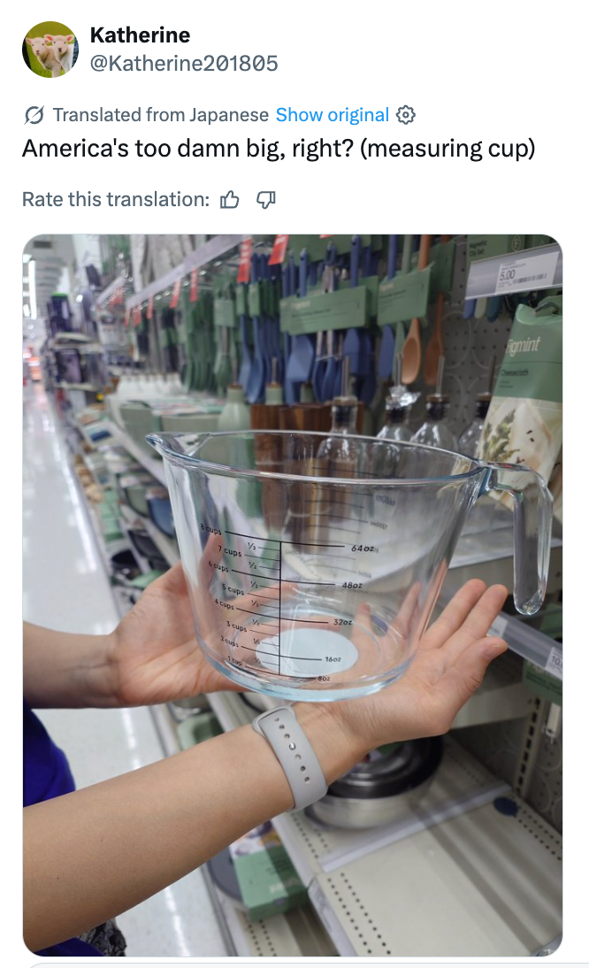 42 Japanese tourist tweets that perfectly capture America
