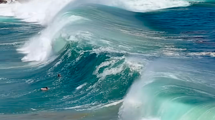 Historic Laguna Beach swell turns Crescent Bay into rescue chaos (video)
