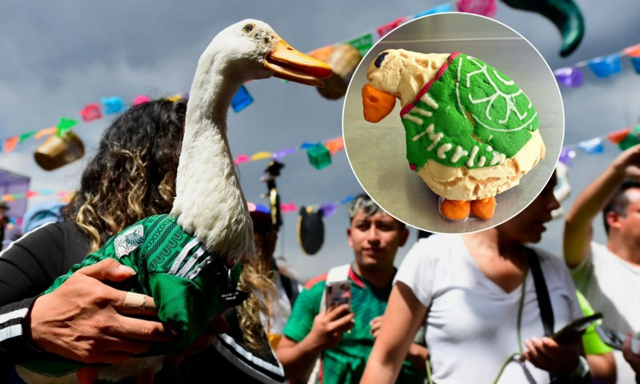 ¡El pato Merlín inspira conchas! Así son las Merliconchas que lanzó una ...